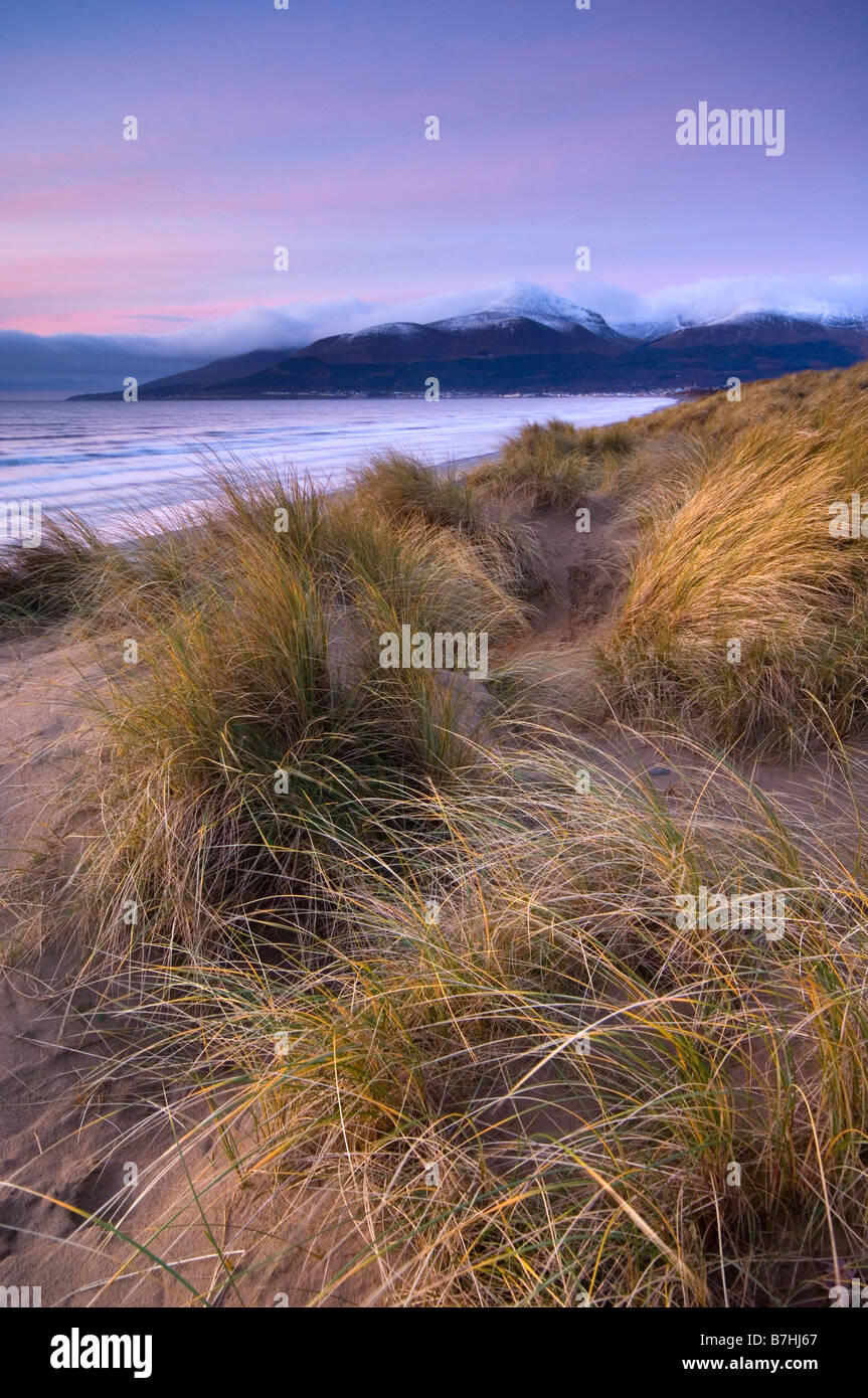 Irish Landscape image of dunes, beach and coast at Murlough Beach ...
