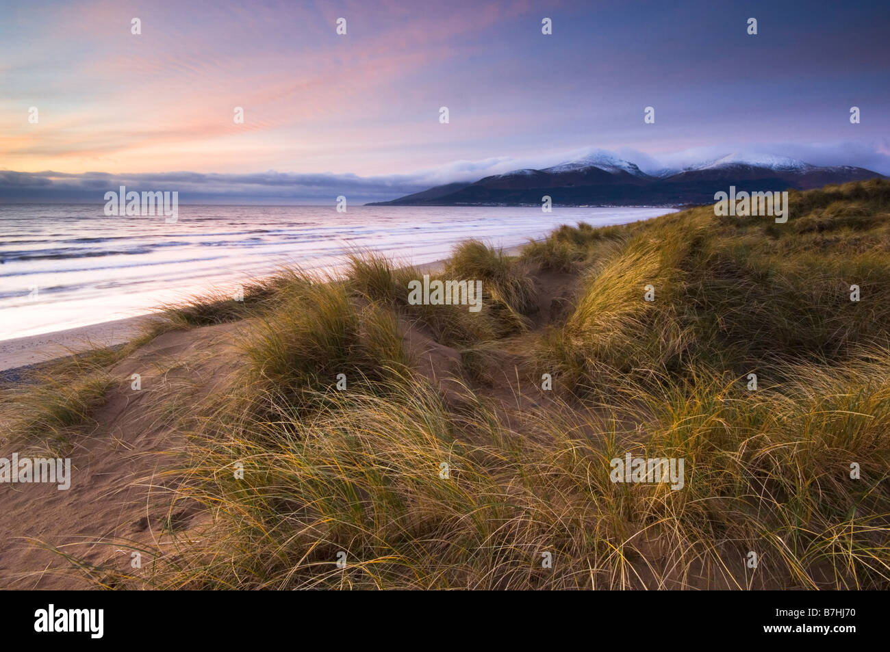 Irish Landscape image of dunes, beach and coast at Murlough Beach ...