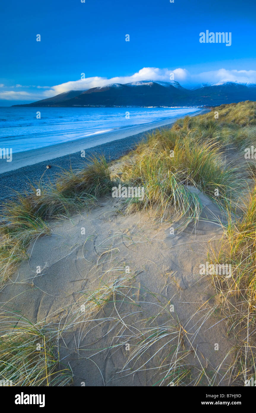 Irish Landscape image of dunes, beach and coast at Murlough Beach ...