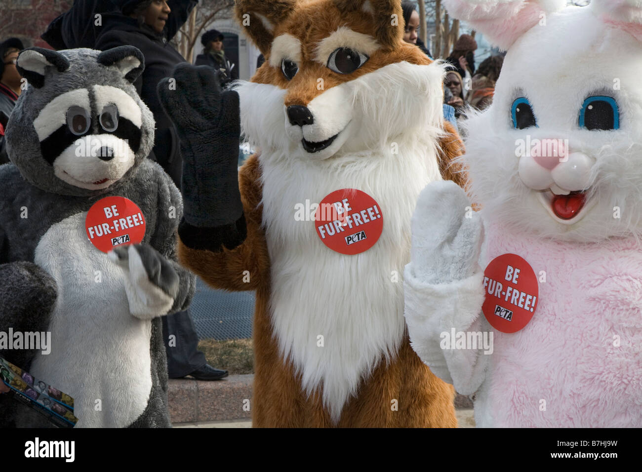 Peta campaign hi-res stock photography and images - Alamy