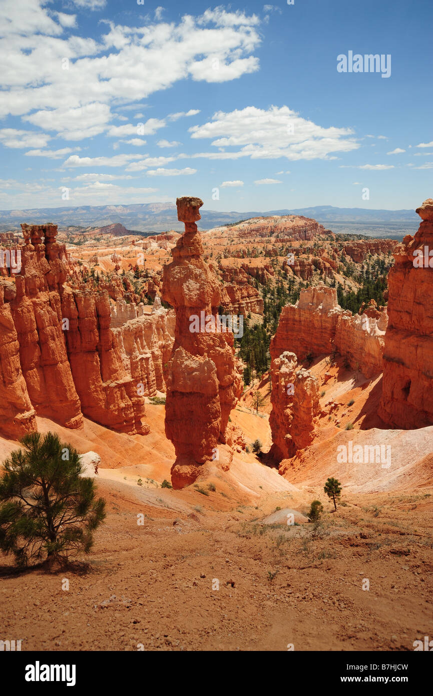 A look inside Bryce Canyon Utah Stock Photo - Alamy