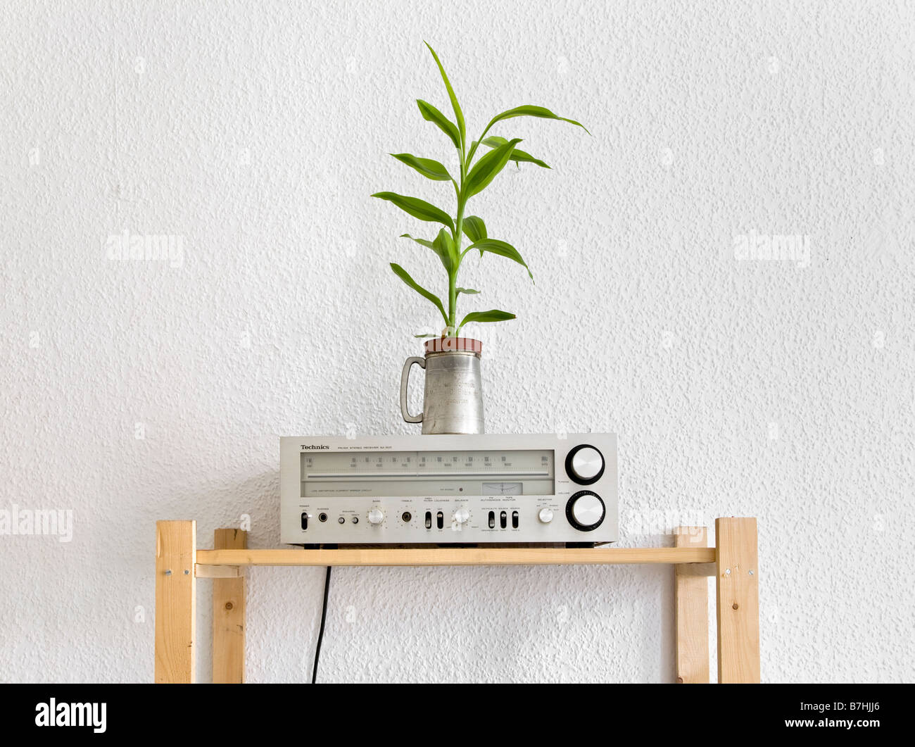 amplifier and plant Stock Photo - Alamy