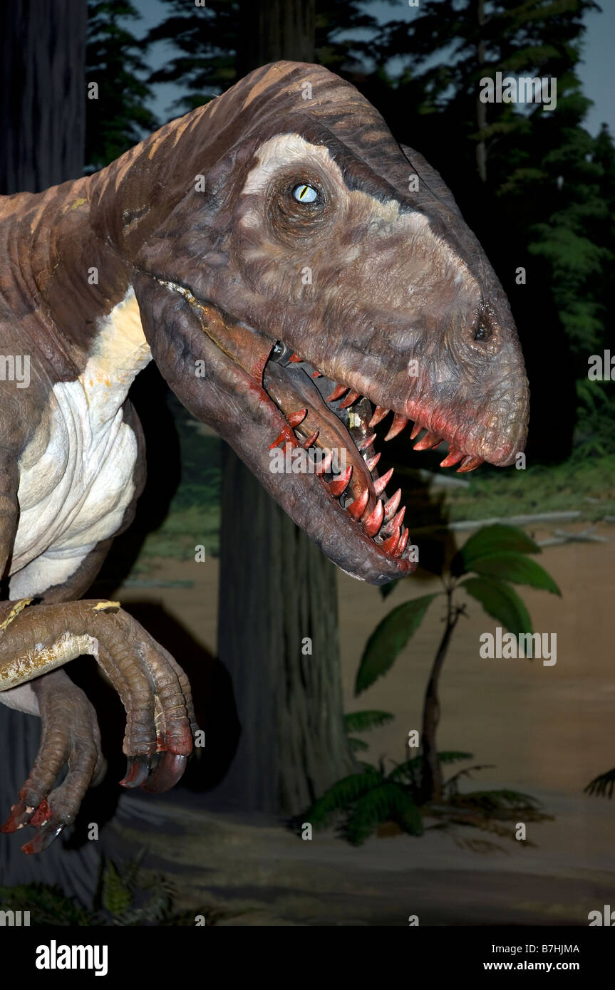Neovenator In 3d Neovenator | Luis V. Rey Blog