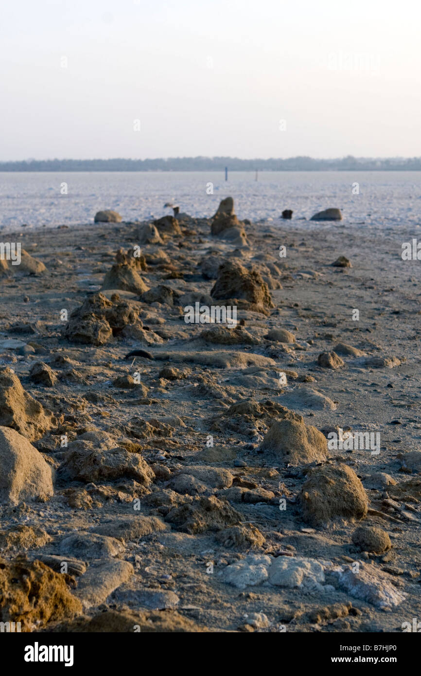Closeup salt view on salt lake near Larnaca Cyprus Stock Photo - Alamy