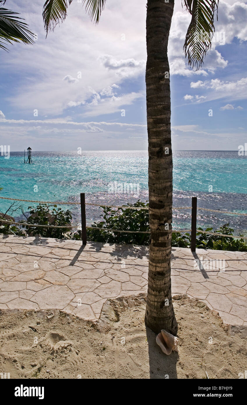 Palm tree shade and Gulf of Mexico overlook Stock Photo - Alamy