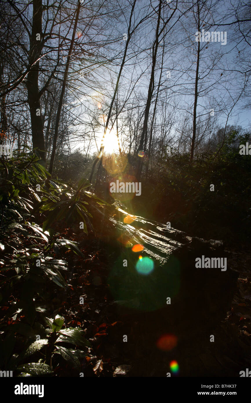 Esher common hi-res stock photography and images - Alamy