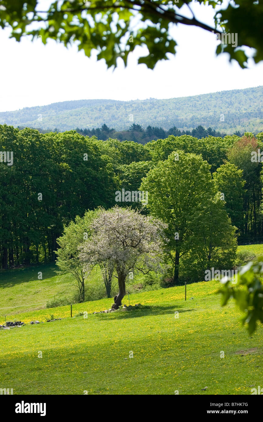 Scenic rural scene rolling hi-res stock photography and images - Alamy