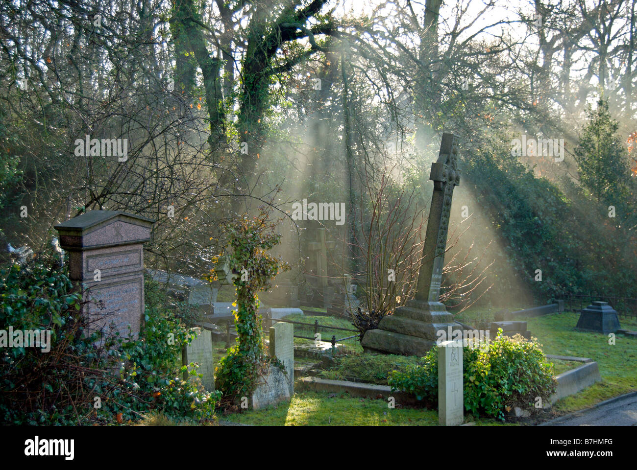 rays of sunlight amid gravestones at putney vale cemetery, wandsworth ...