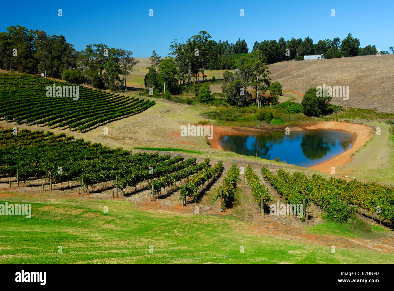 Pemberton australia hi-res stock photography and images - Alamy
