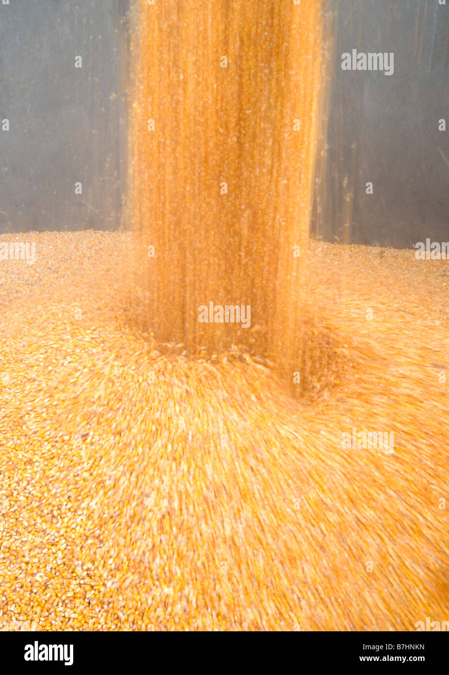 Falling grain hi-res stock photography and images - Alamy