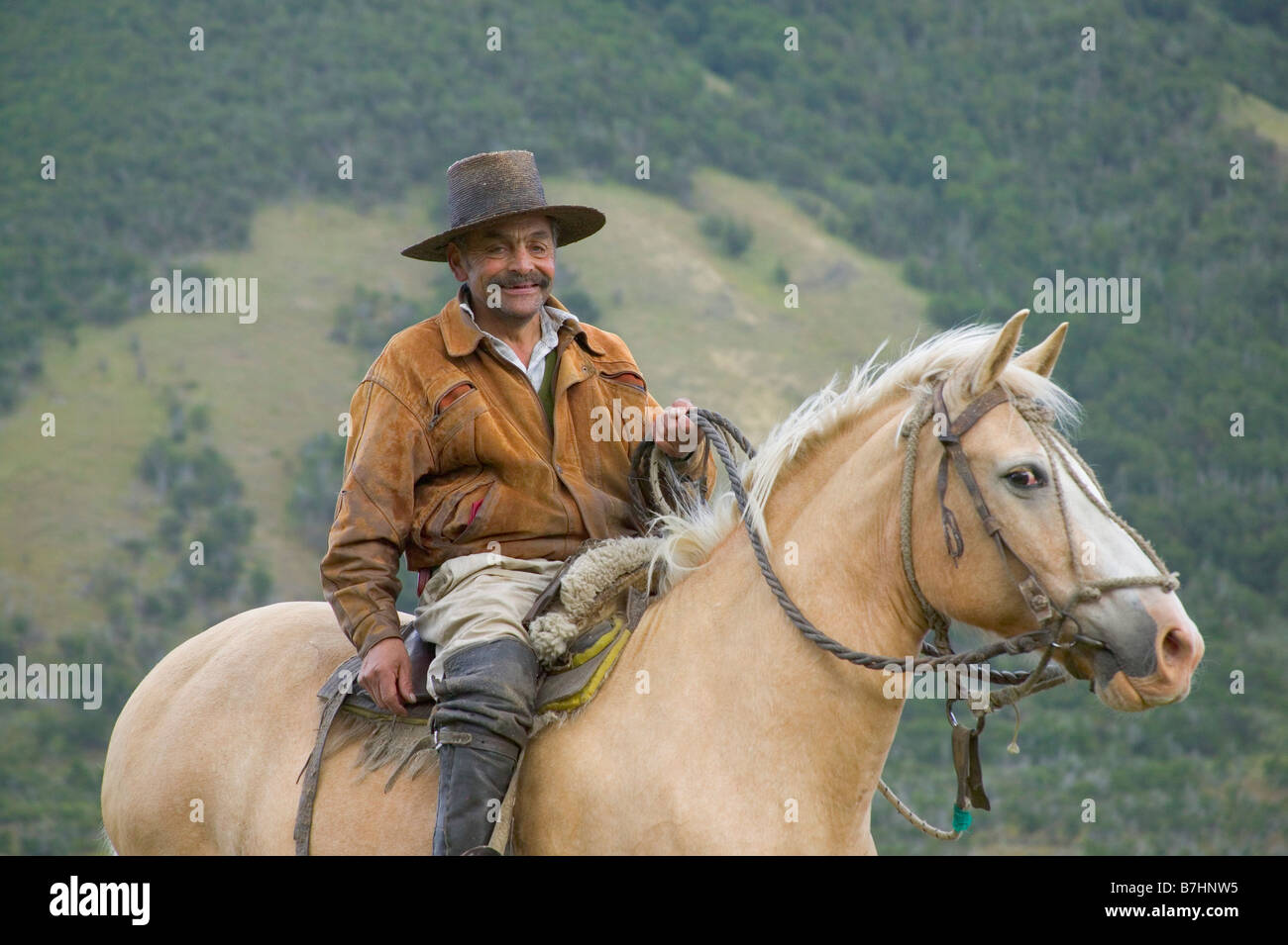 Gaucho cowboy on horseback on meadow Torres del Paine Patagonia Chile ...