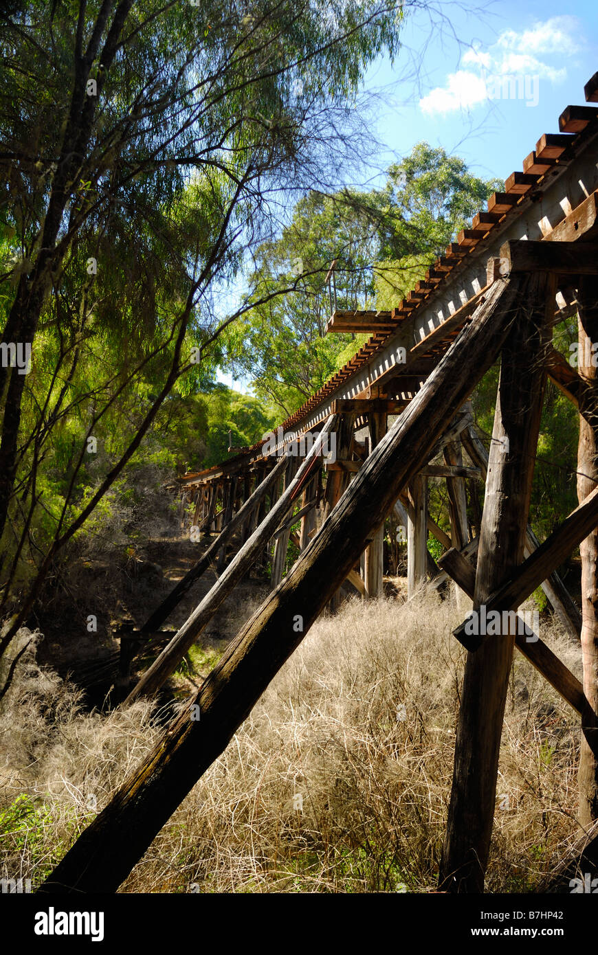 Old timber bridge Pemberton Railway Pemberton Western Australia Stock ...