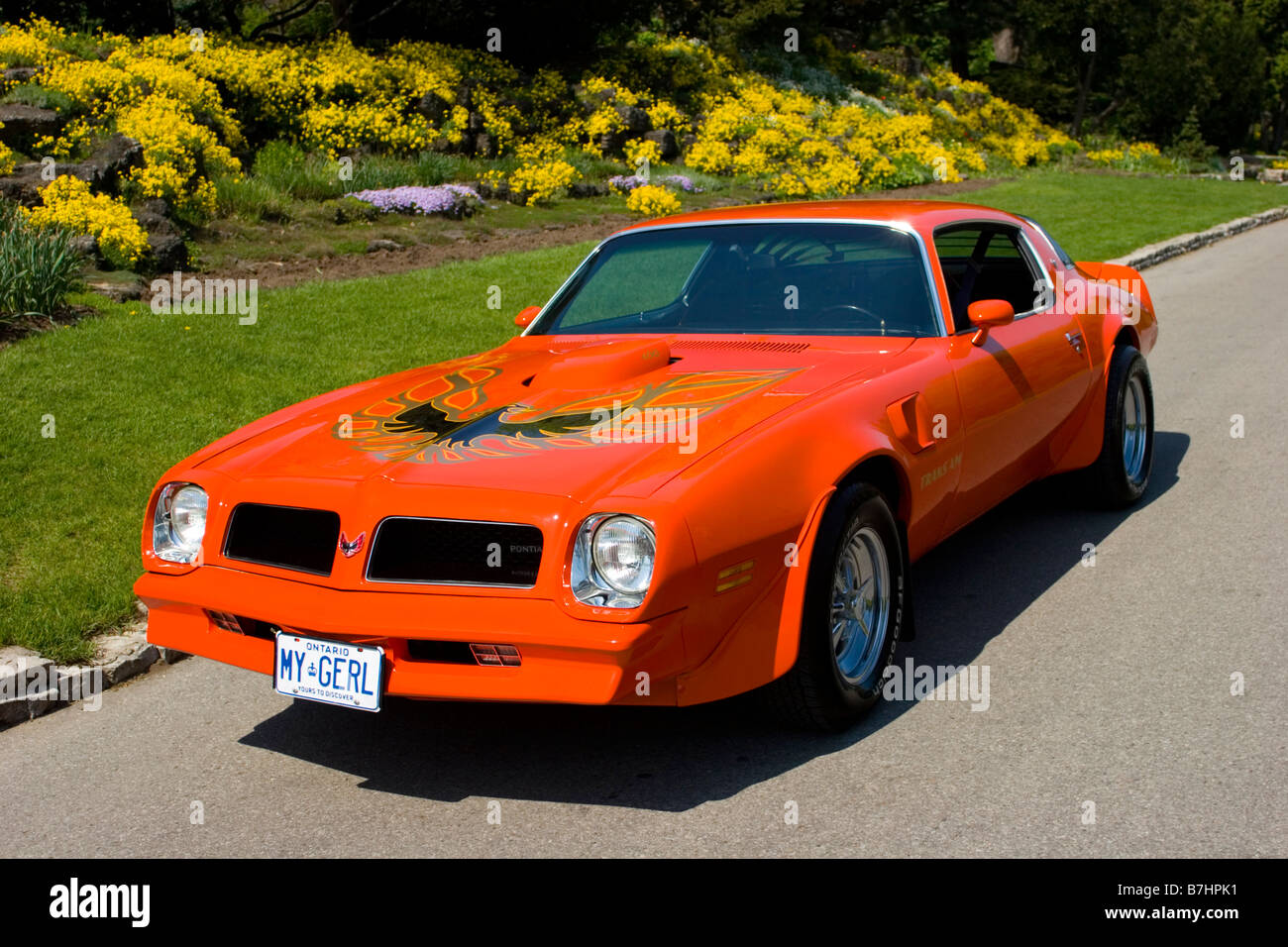 1976 Pontiac Trans Am Stock Photo - Alamy