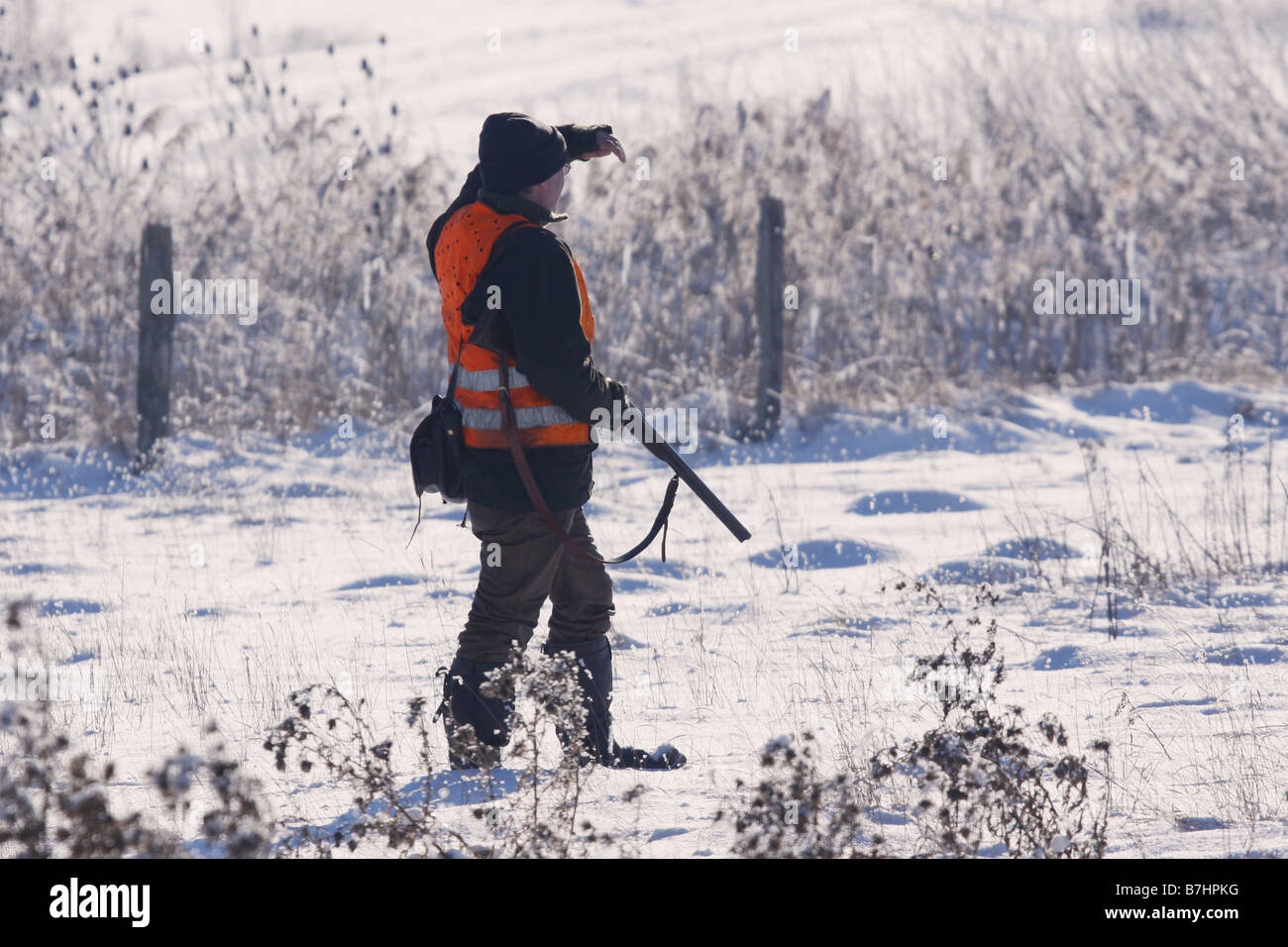 battue in winter, Germany Stock Photo - Alamy