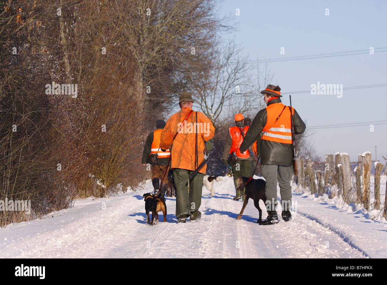 Hunter dog germany hi-res stock photography and images - Alamy