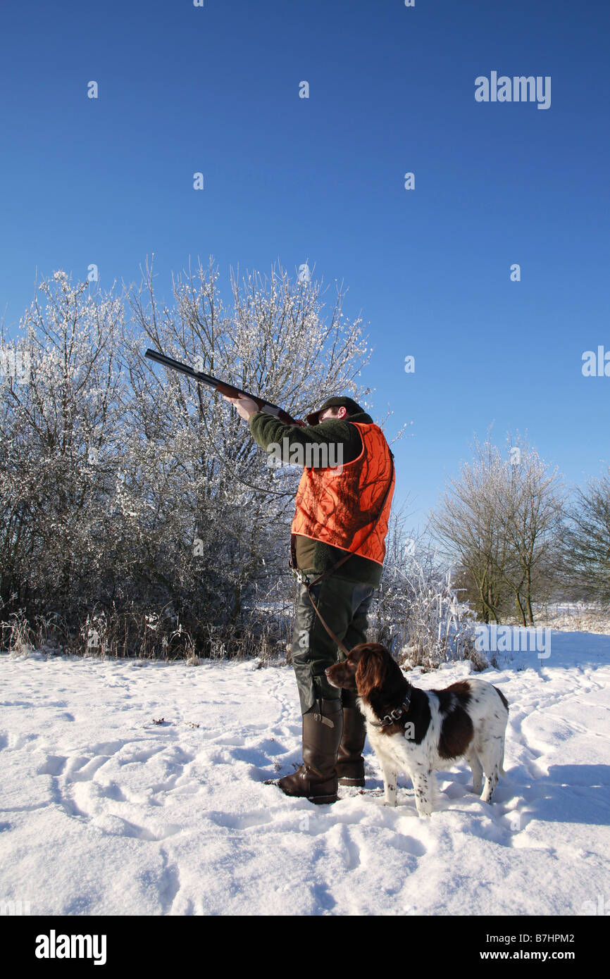 Hunter dog germany hi-res stock photography and images - Alamy