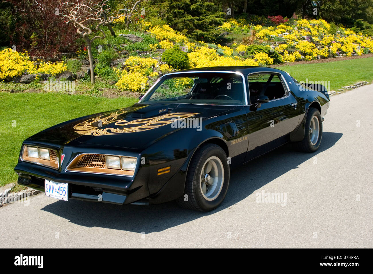 1977 Trans Am