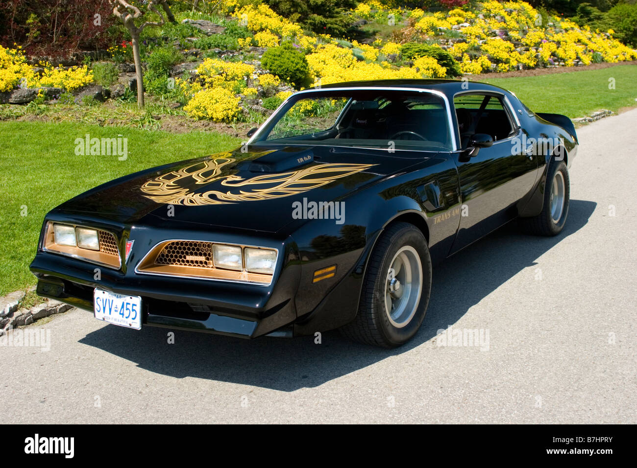 Pontiac trans am hi-res stock photography and images - Alamy