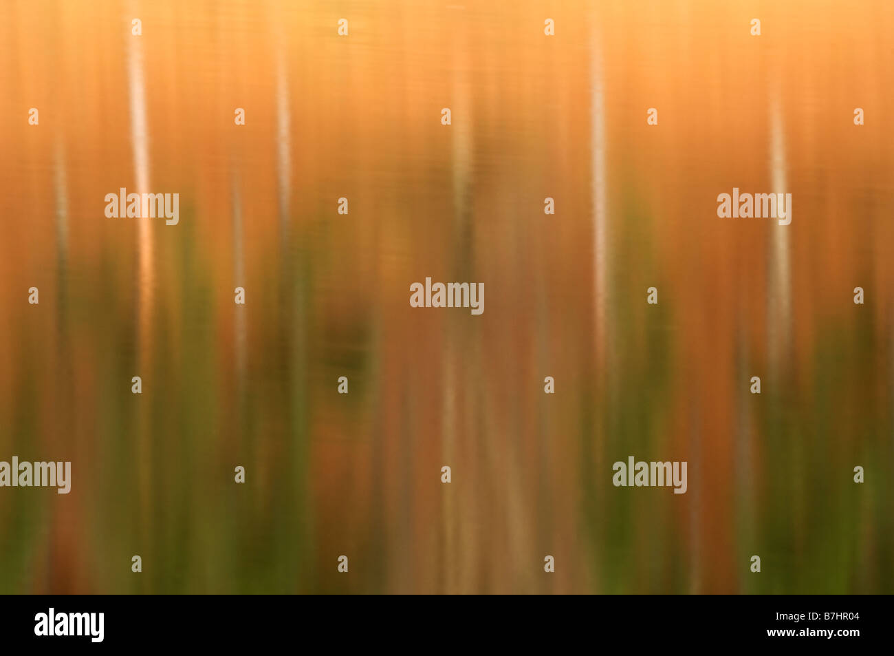 Mixed woodland reflected in Howden Reservoir, Peak District National ...