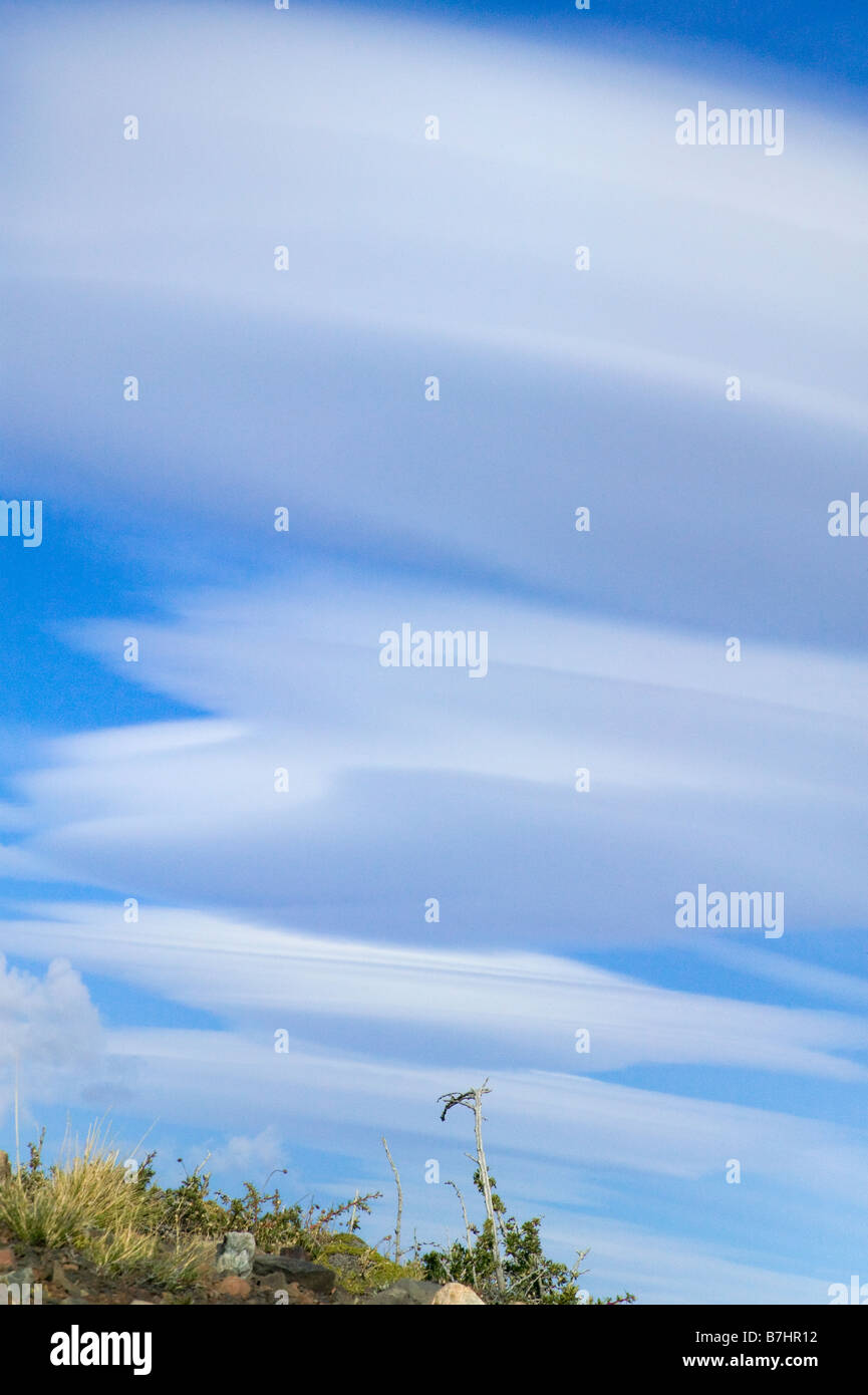 Lago lama hi-res stock photography and images - Alamy