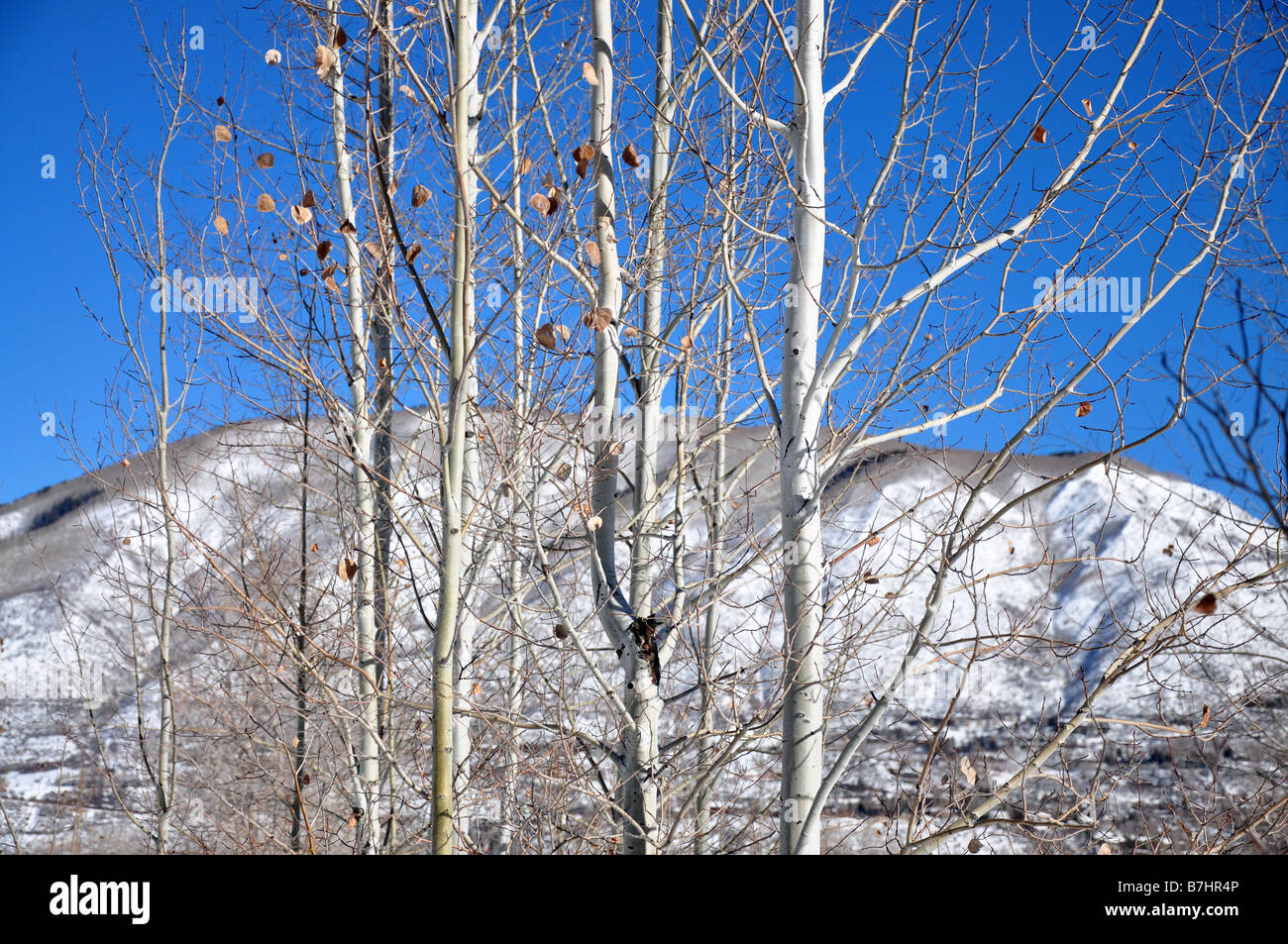 Silver mountain resort hi-res stock photography and images - Alamy