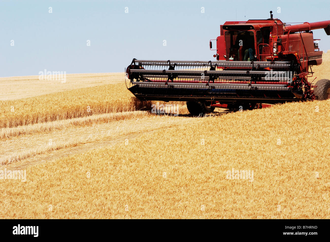 a combine harvesting the wheat crops in the rolling hills of the ...