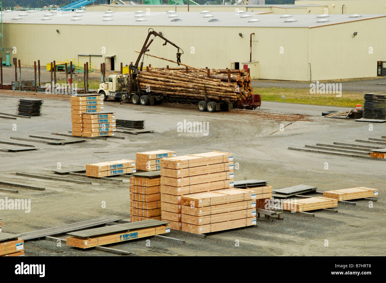 Lumber stacked at a forest products processing plant Stock Photo - Alamy