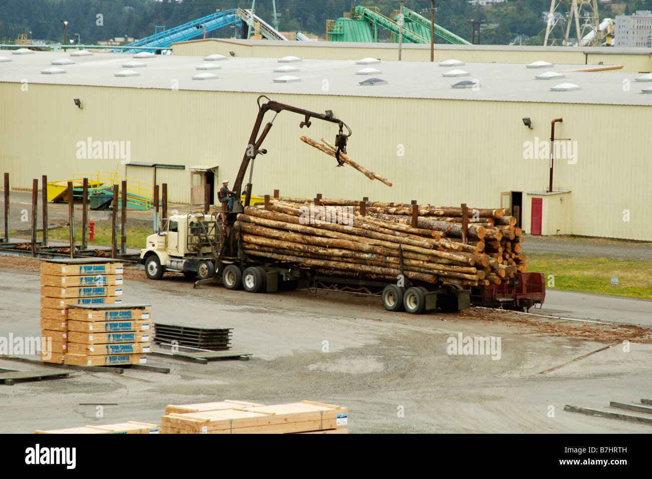 Lumber stacked at a forest products processing plant Stock Photo - Alamy