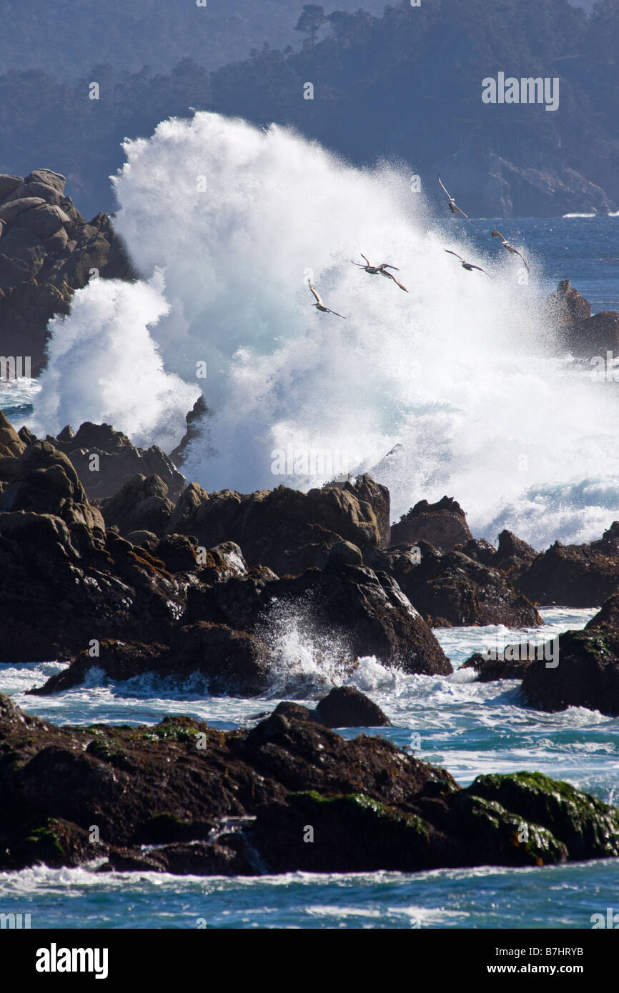 Pacific Ocean waves crashing ashore at Cypress Point Lookout, Pebble ...