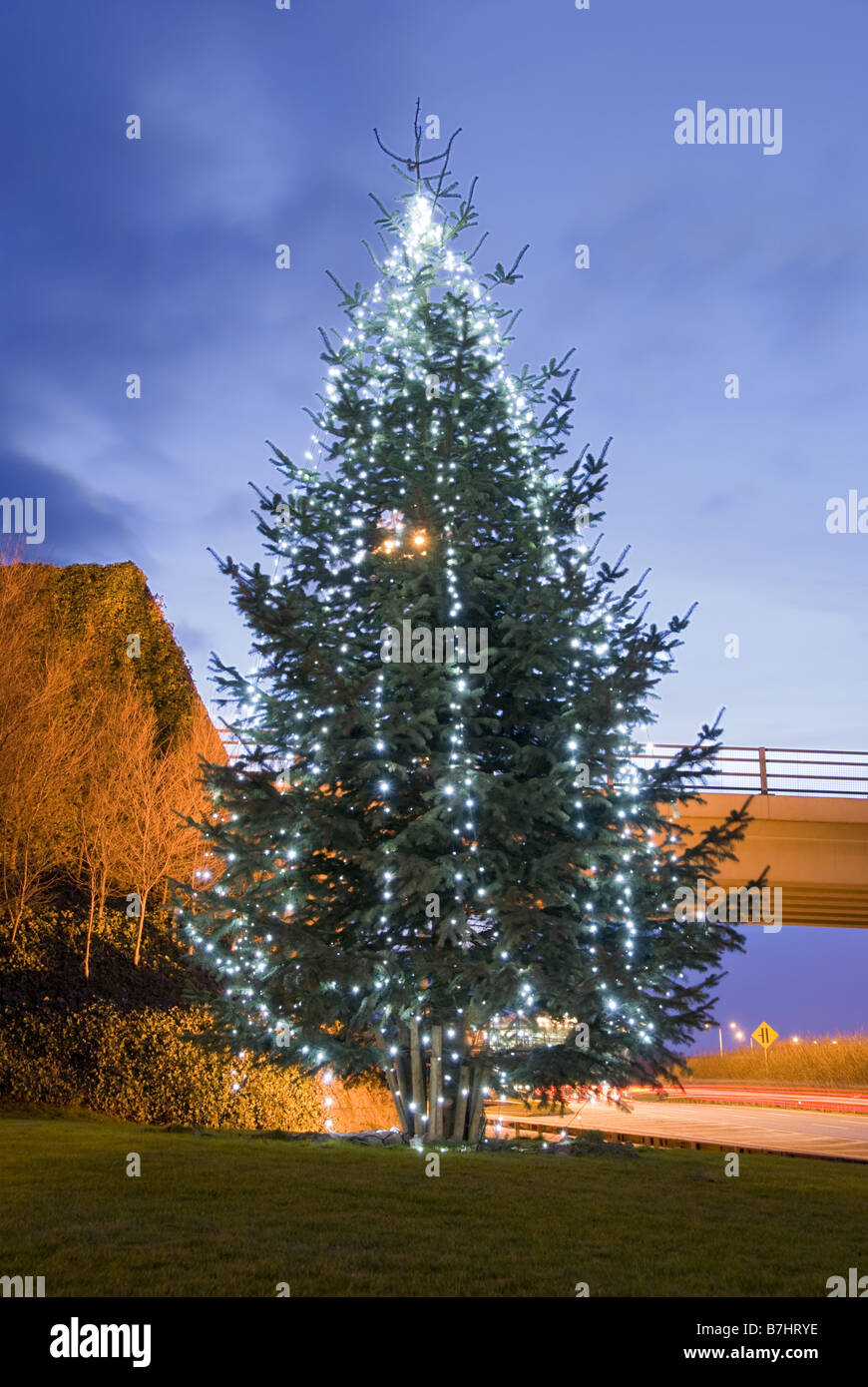A Christmas tree by a busy highway Stock Photo - Alamy