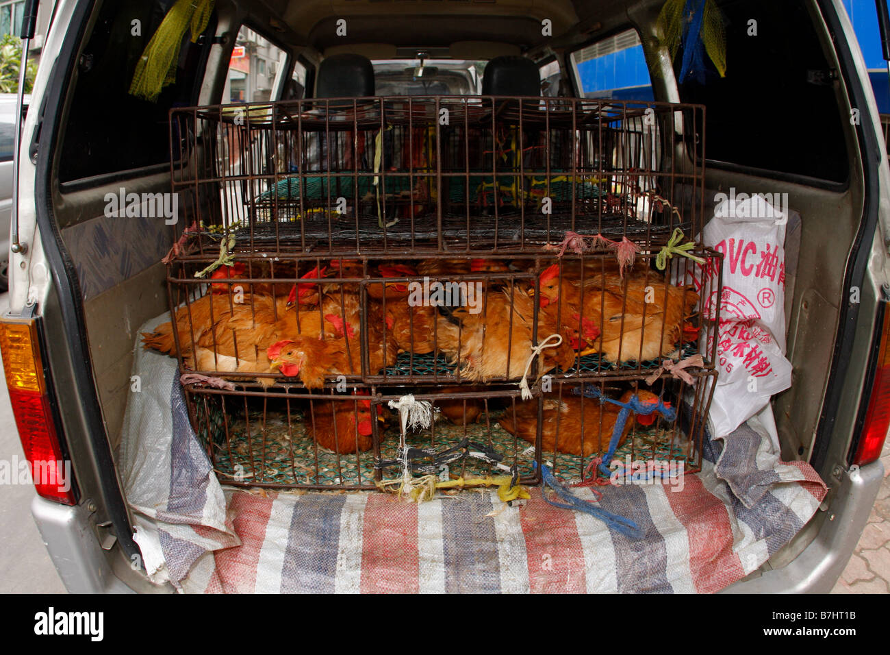 Uninspected shipments arrive daily in private vehicles like this into ...