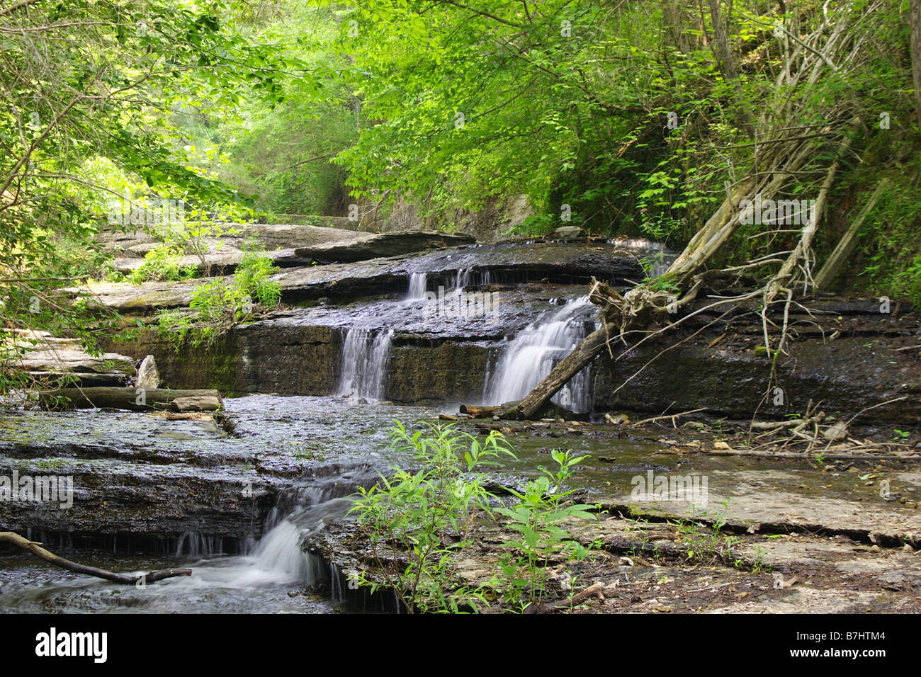 Small stream falls hi-res stock photography and images - Alamy