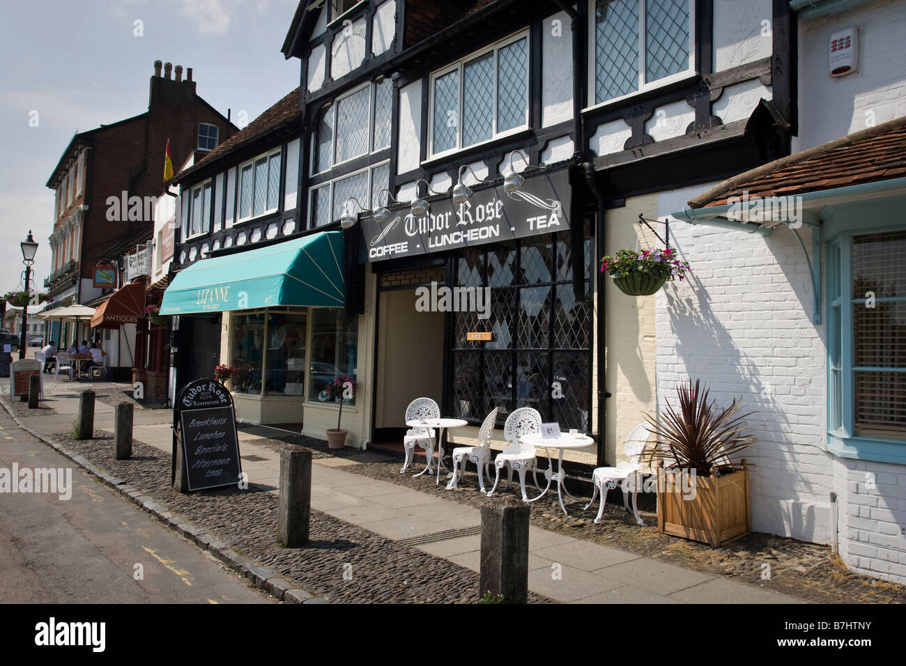 The tudor rose hi-res stock photography and images - Alamy