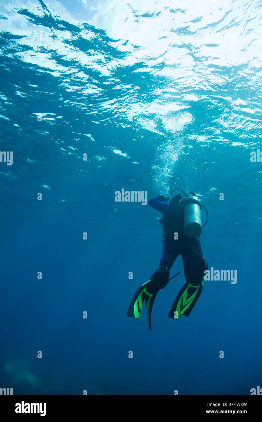 scuba diver with yellow and black fins swimming to surface of caribbean ...