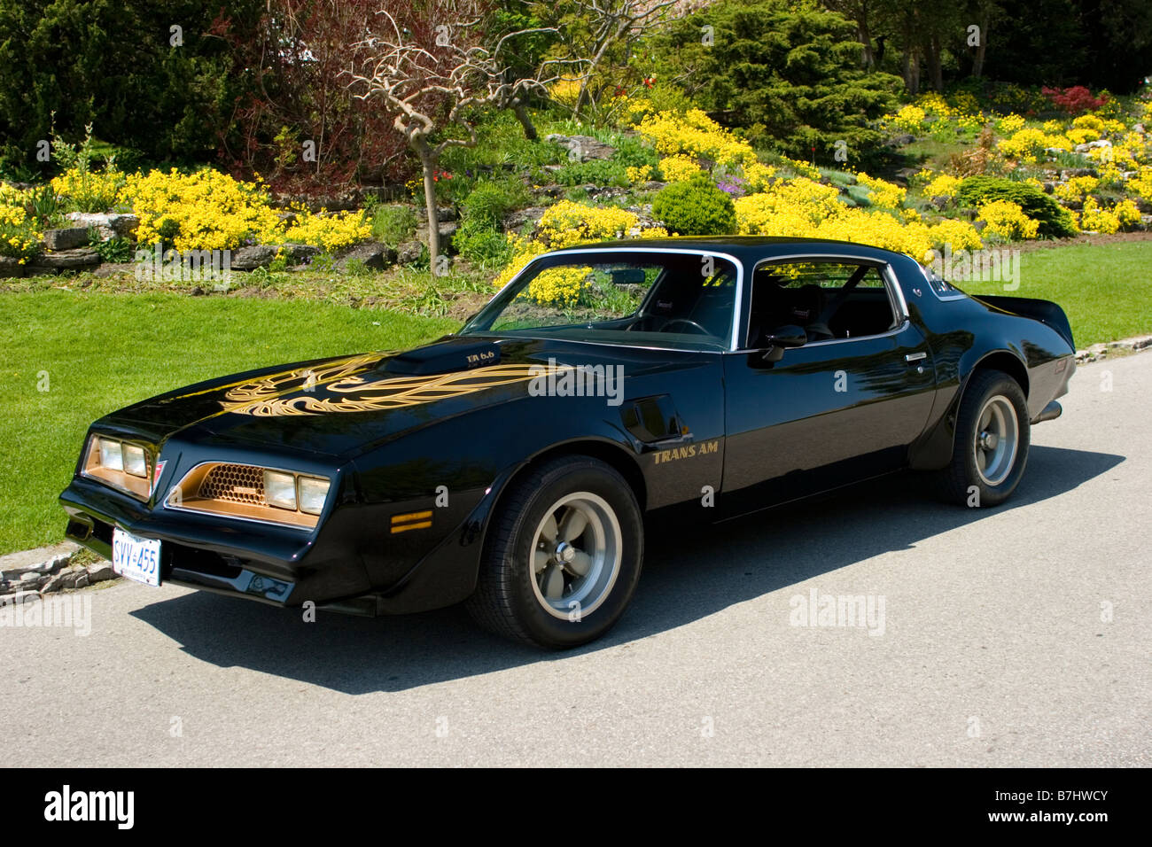 1977 Pontiac Trans AM Stock Photo - Alamy