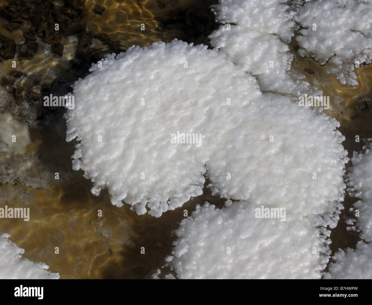 Salt Crystals, Lake Assal. Lowest place in Africa and Saltiest Place on ...