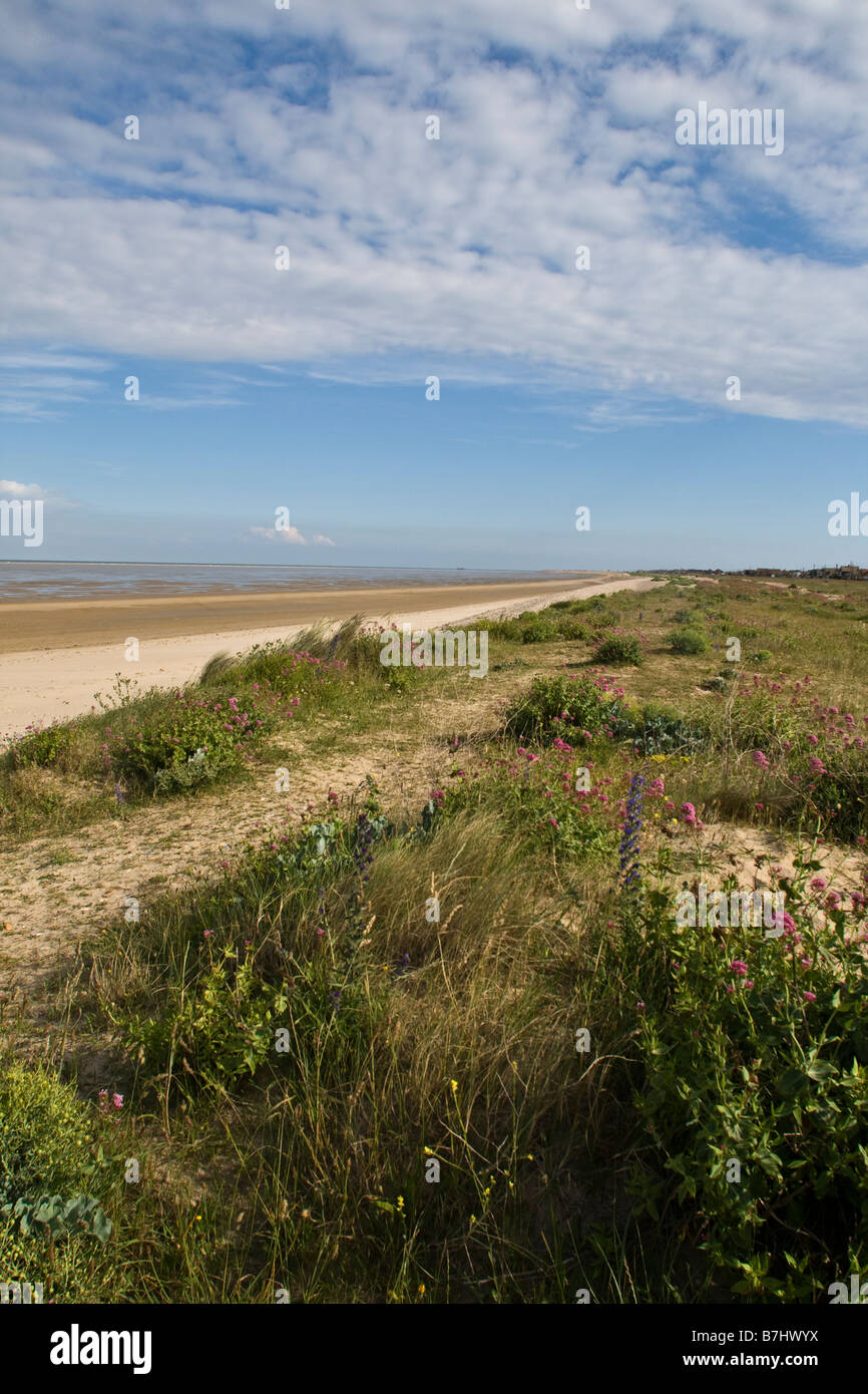 Beach Scene Littlestone Dymchurch Kent Stock Photo - Alamy