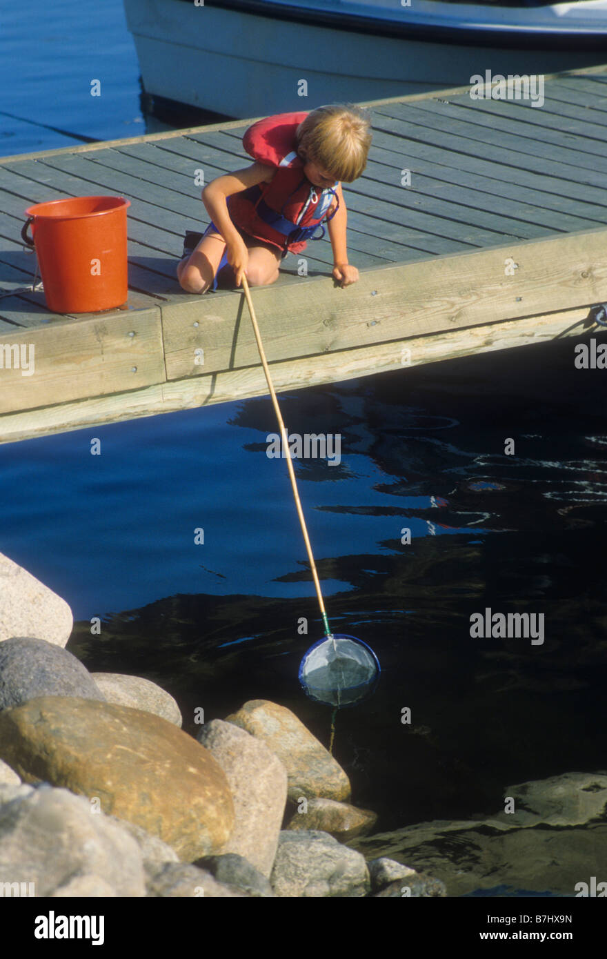 Young boy catches tiny fish with net from dock Stock Photo - Alamy
