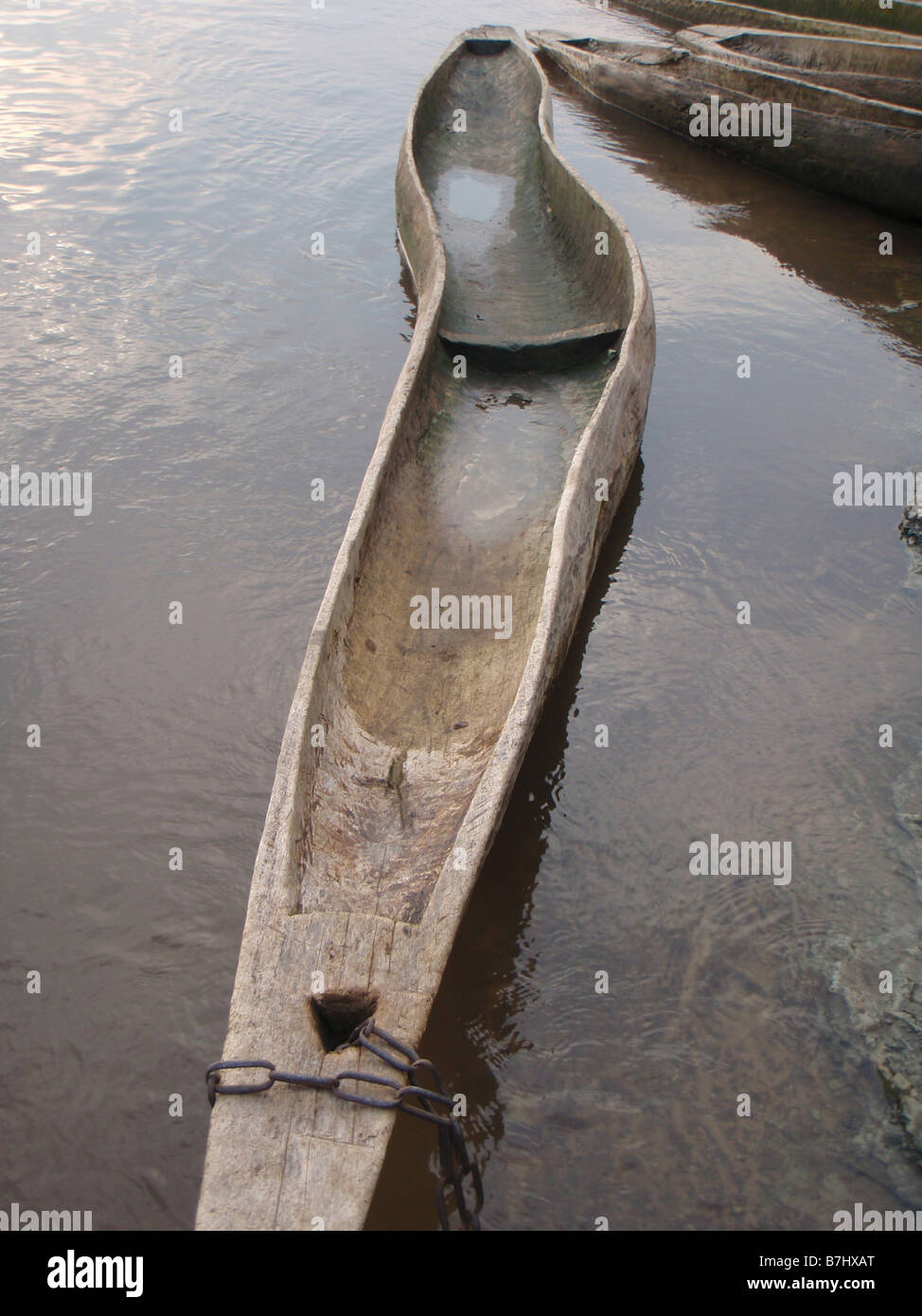 Wooden dugout canoe with bent twisted hull made from twisted tree Congo ...