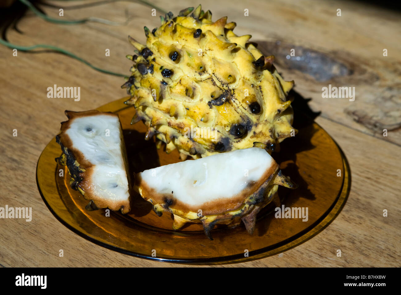 Close up of a sweetsop fruit fresh from the jungle Bastimentos Bocas ...