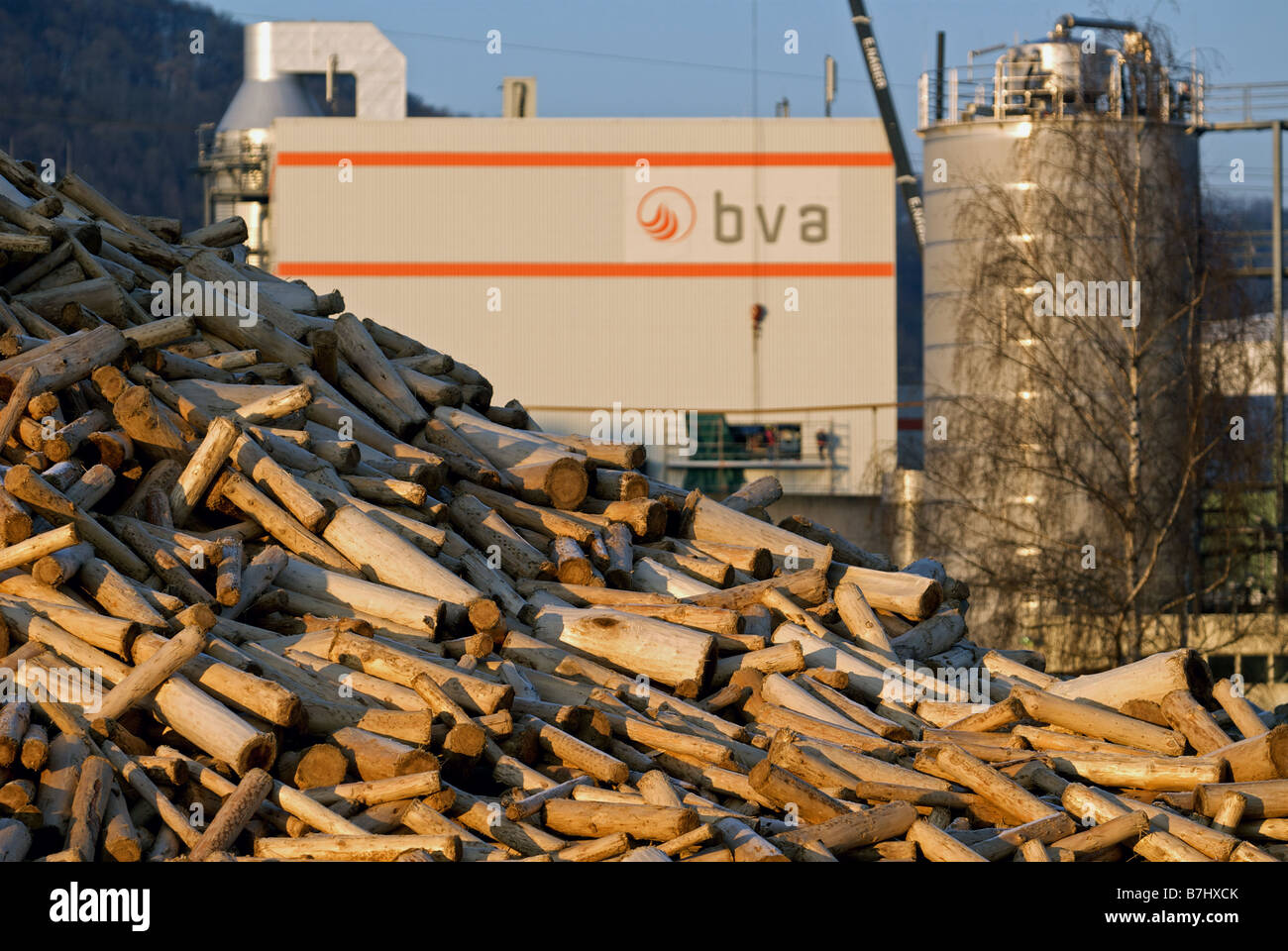 Wood burning power station hi-res stock photography and images - Alamy