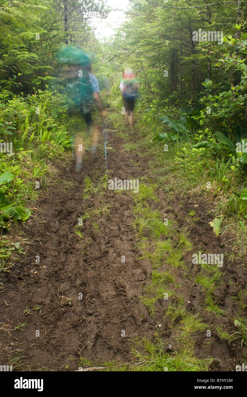 Muddy trail hi-res stock photography and images - Alamy