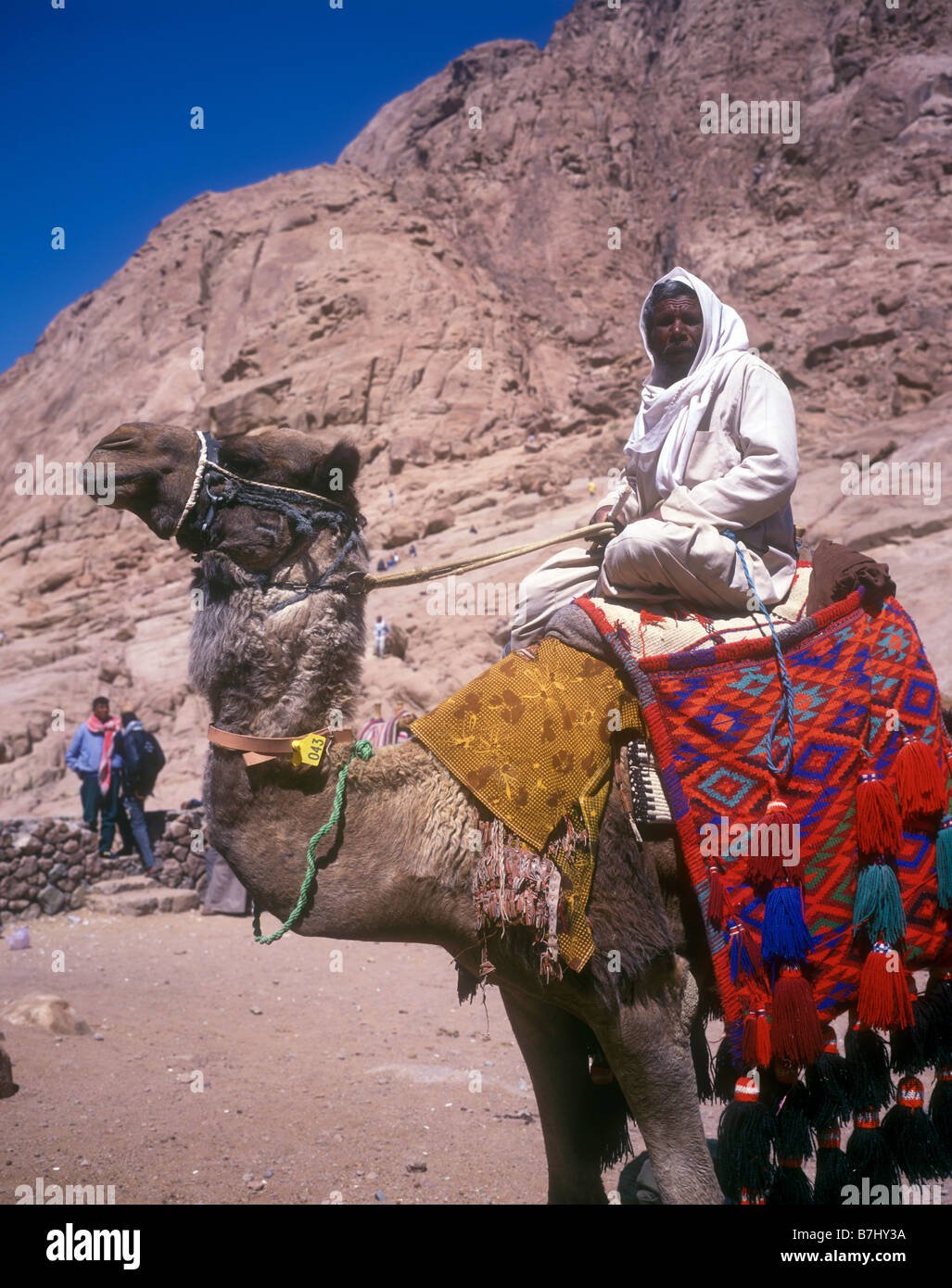Camel camp egypt hi-res stock photography and images - Alamy