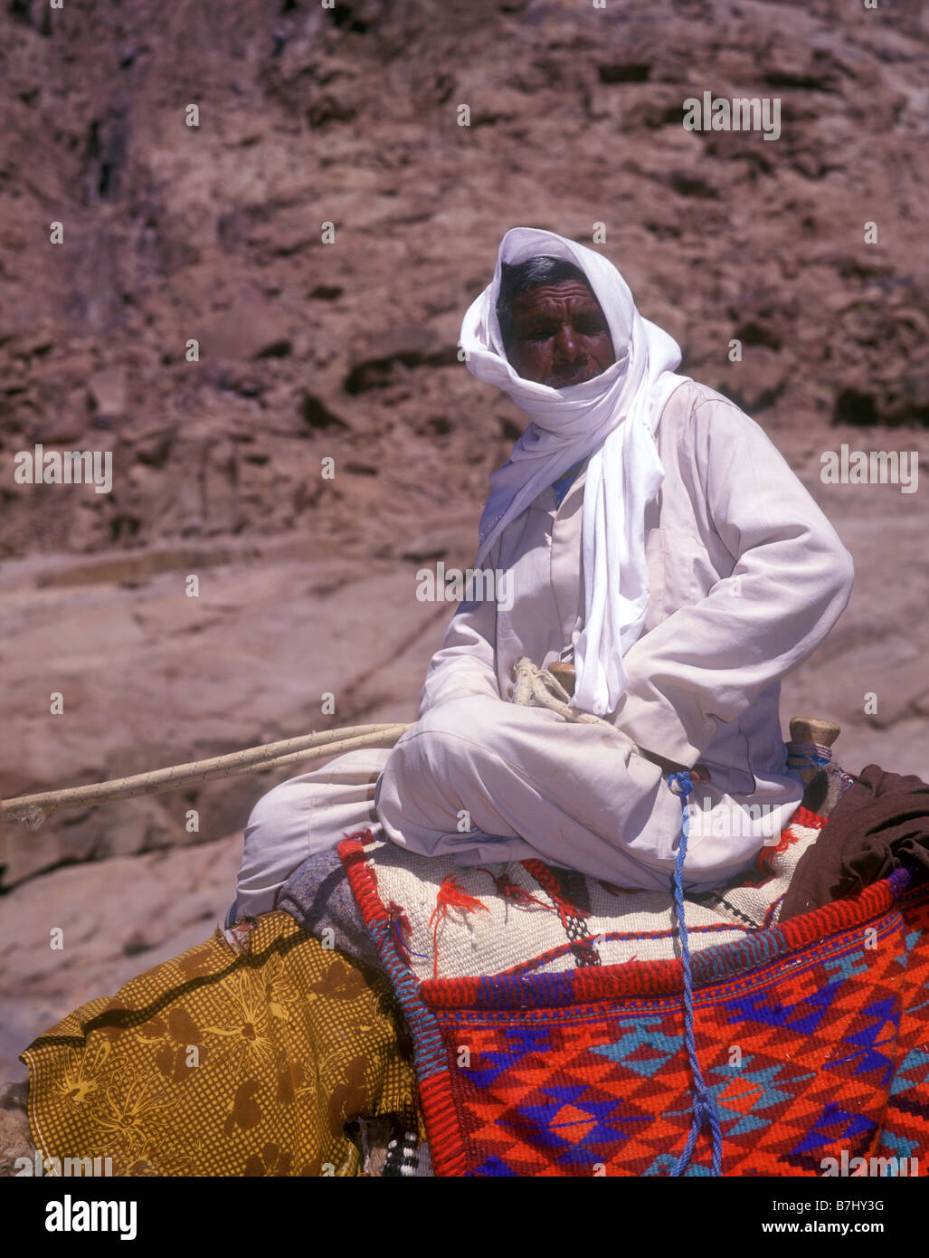 Camel camp egypt hi-res stock photography and images - Alamy