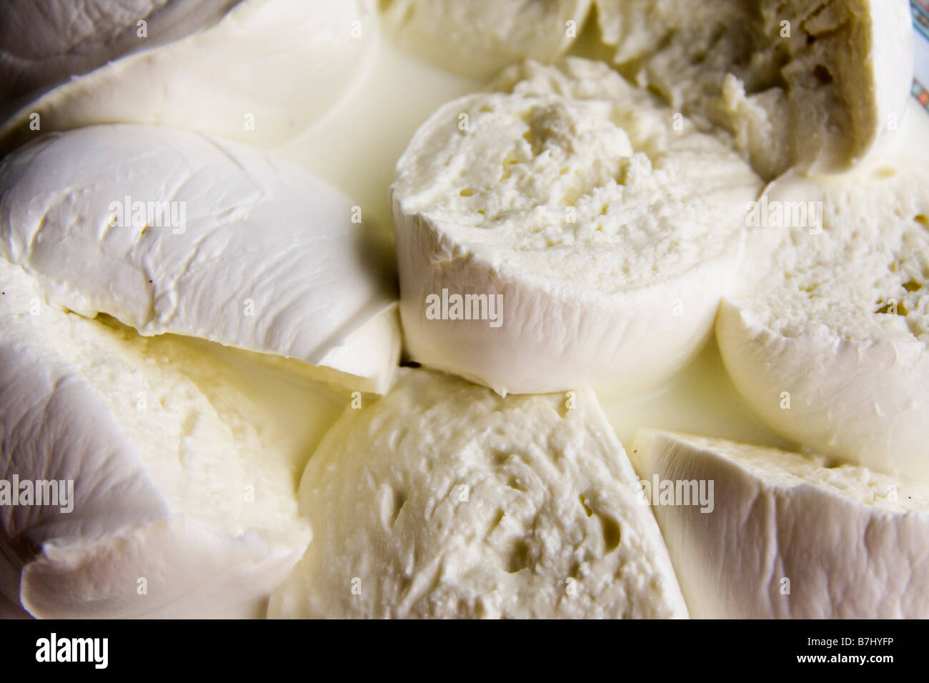 Buffalo Mozzarella Cheese Campana Doc product famous in Naples Campania ...