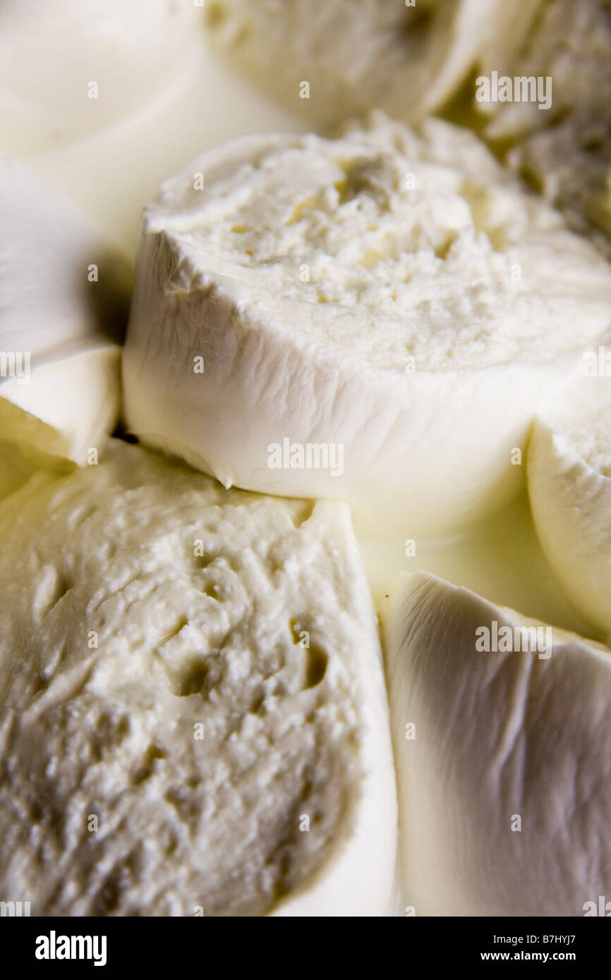 Buffalo Mozzarella Cheese Campana Doc product famous in Naples Campania ...