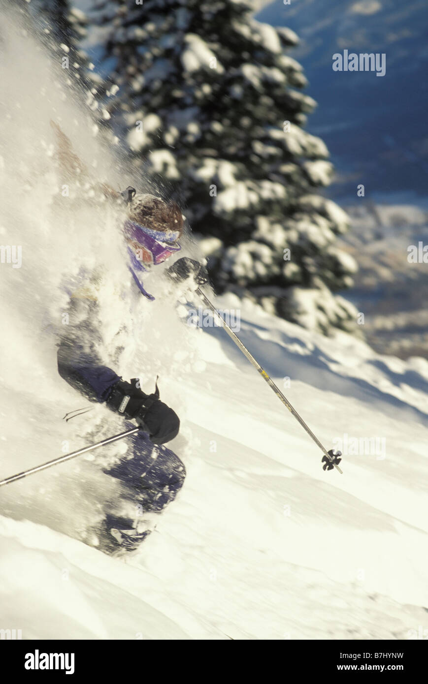 Young woman skiing deep powder at Fernie Alpine Resort, Fernie, British ...