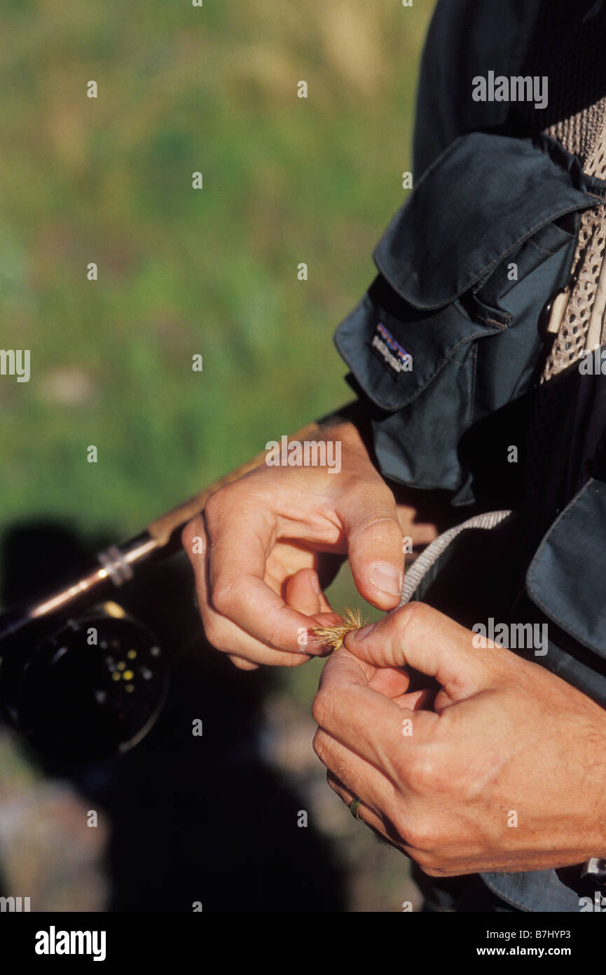 Young man tying fly while fly fishing on Crowsnest river, Crowsnest ...