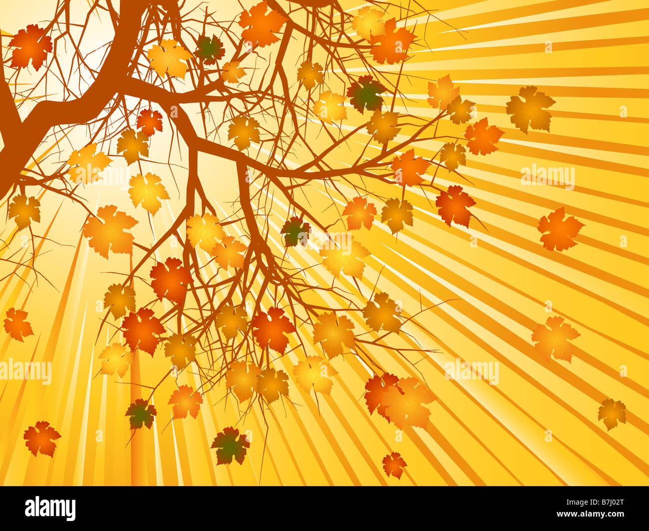 autumn tree background Stock Photo - Alamy