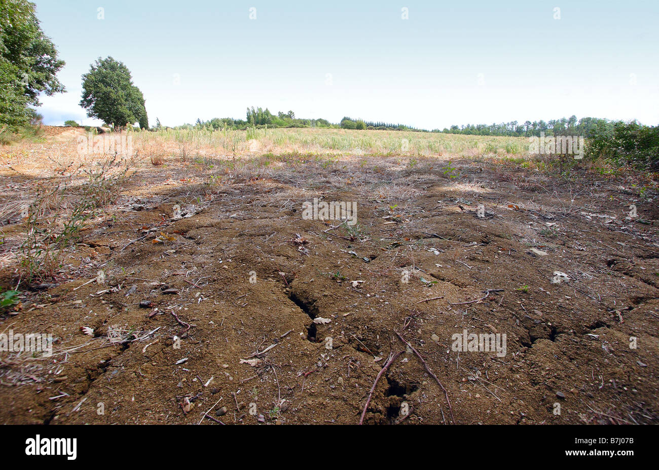 ground drought and blue sky Stock Photo - Alamy